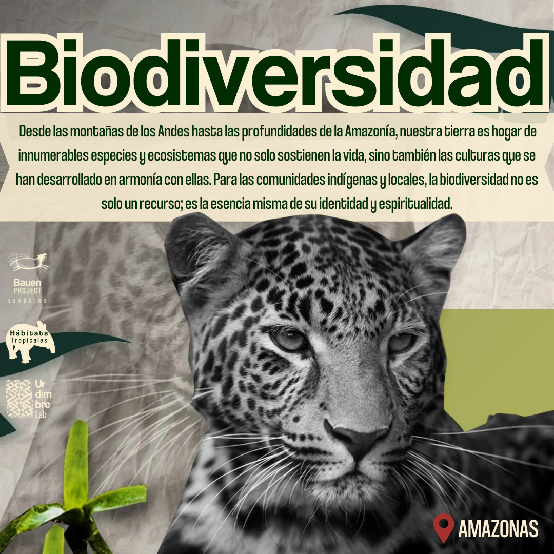 Tejiendo nuestra bioculturalidad
