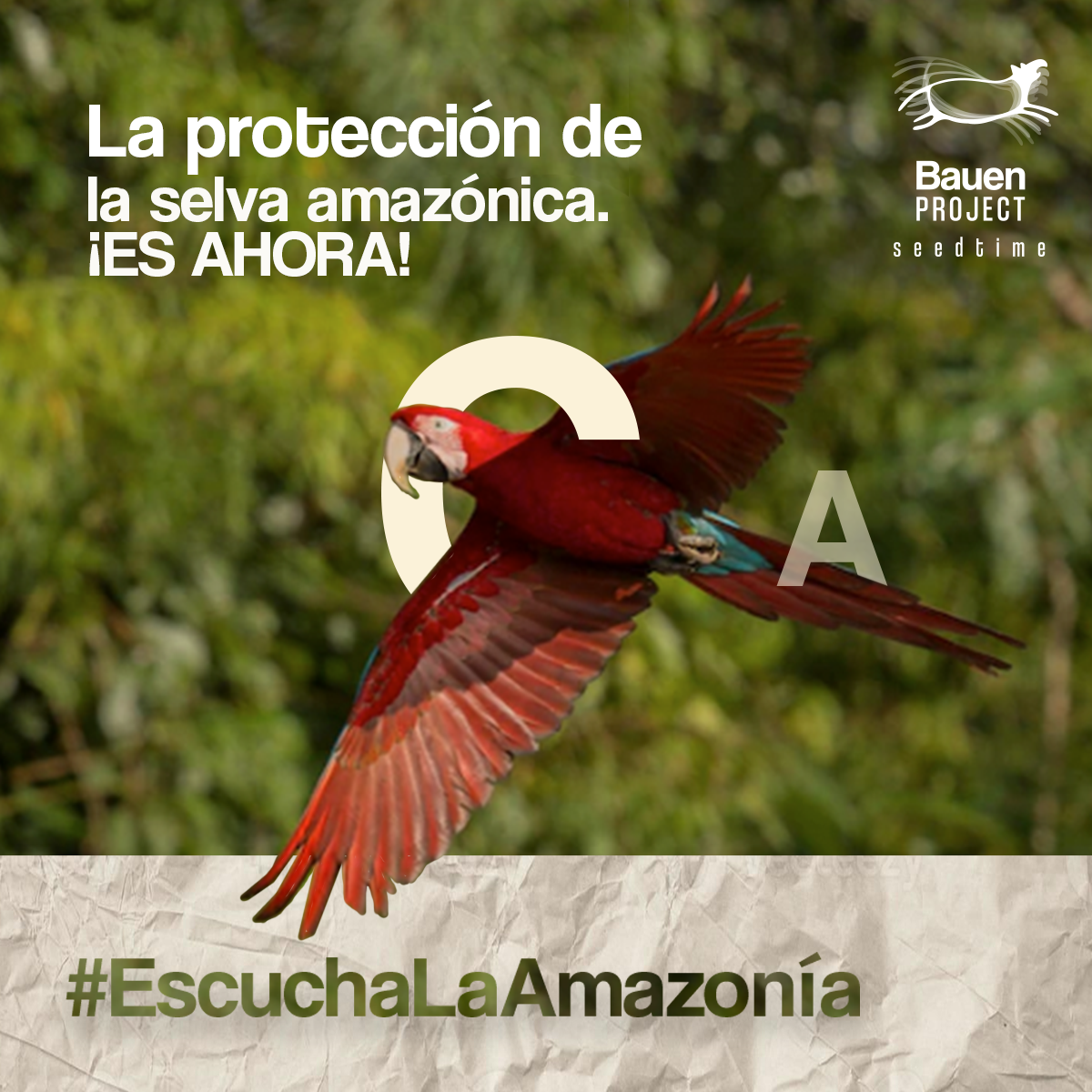 Fortaleciendo el Amazonas